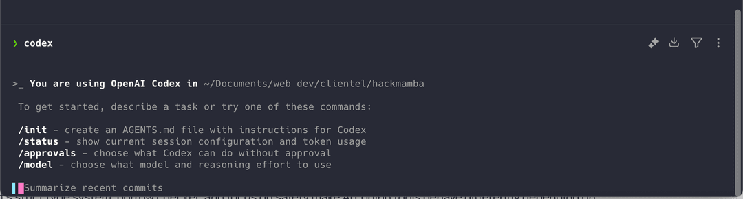 Best AI Coding Tools for Rust Projects: IDEs vs Terminals | Shuttle