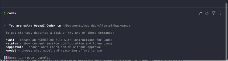 Best AI Coding Tools for Rust Projects: IDEs vs Terminals | Shuttle